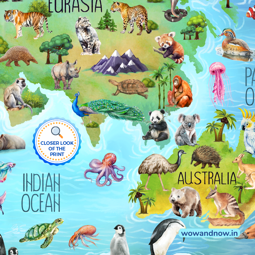 Personalized Animal World Map Wall Art with The Animal Quest Poster ...